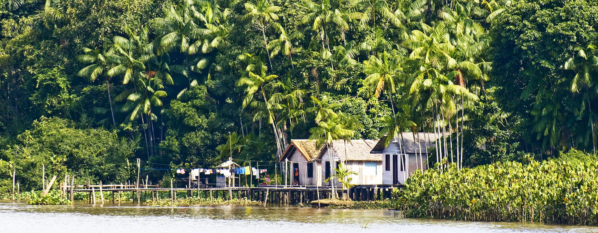 Brazilian Amazon Rainforest Vacations | Lightfoot Travel