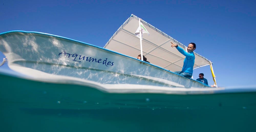 Meet Champion Freediver Hanli Prinsloo | Travel Magazine I Lightfoot Travel