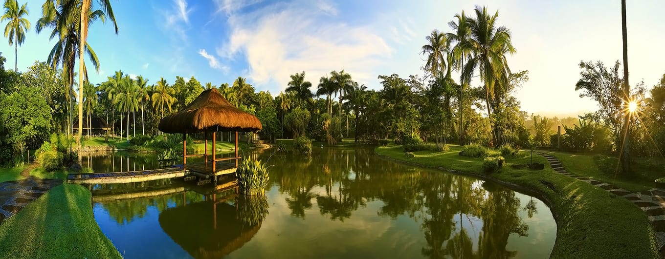 The Farm at San Benito | Holistic Wellness Resort | Lightfoot Travel