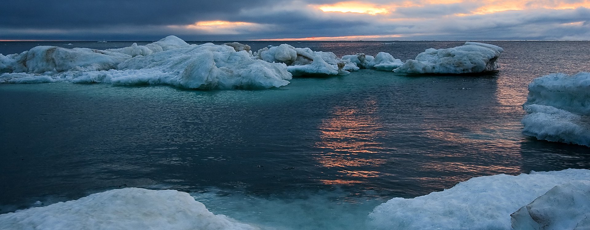 Arctic Wildlife Safari I Arctic Peninsula Cruise I Lightfoot Travel