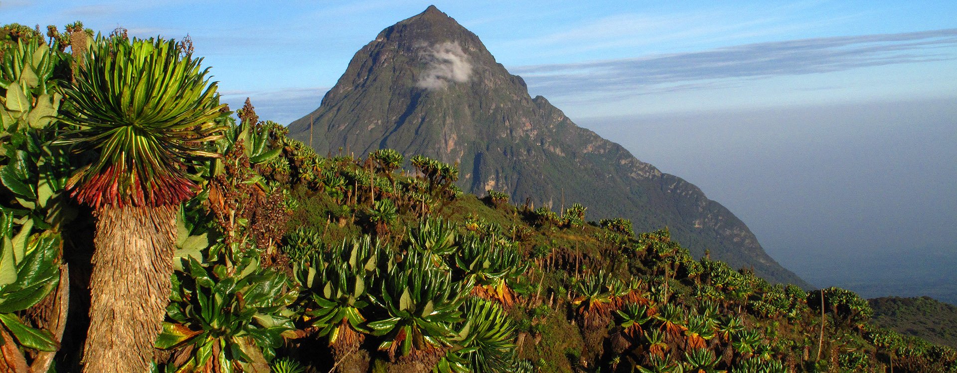 Volcanoes National Park Rwanda | Rwanda Eco & Wildlife Tours ...