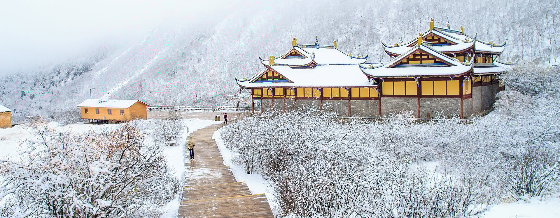 Luxury Chengdu Tours & Hotels | Bifengxia Panda Base | Lightfoot Travel