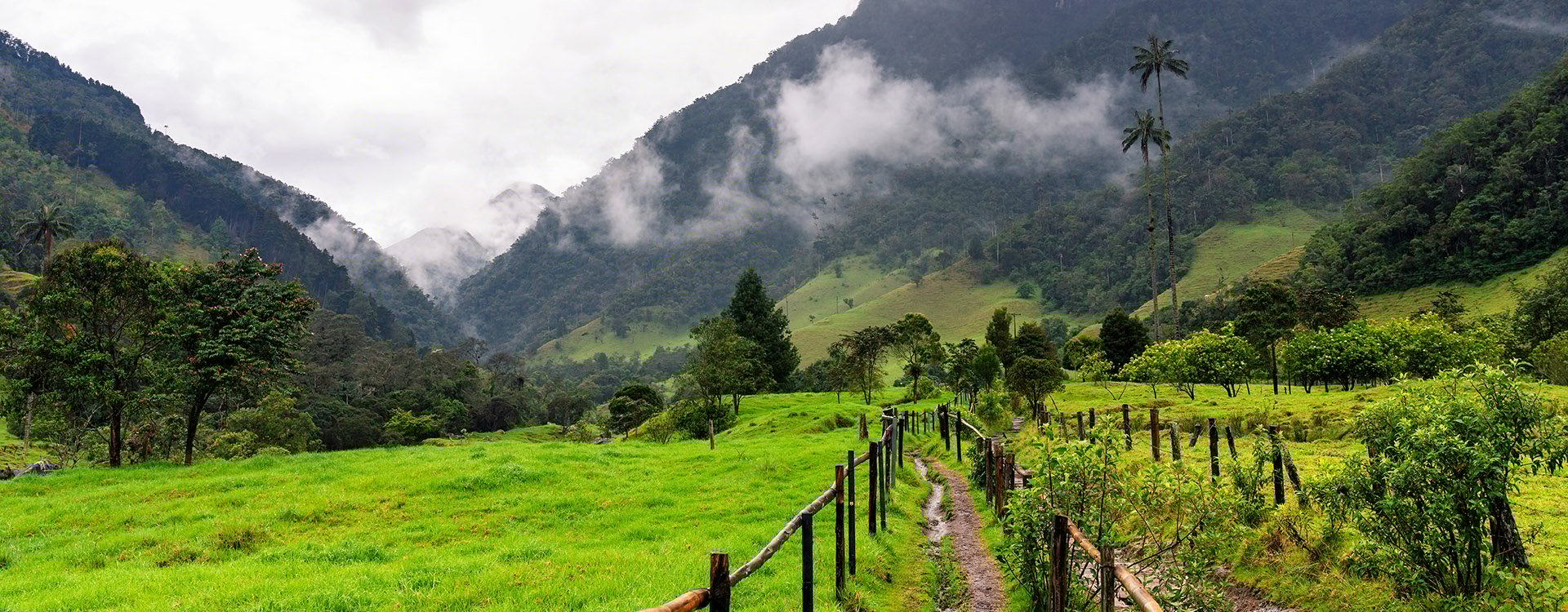 Colombia's Coffee Triangle | Colombia Culture Trips | Lightfoot Travel