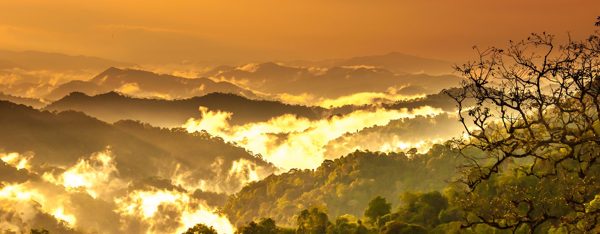 Amazon & Cloud Forest | Luxury Colombia Holidays | Lightfoot Travel
