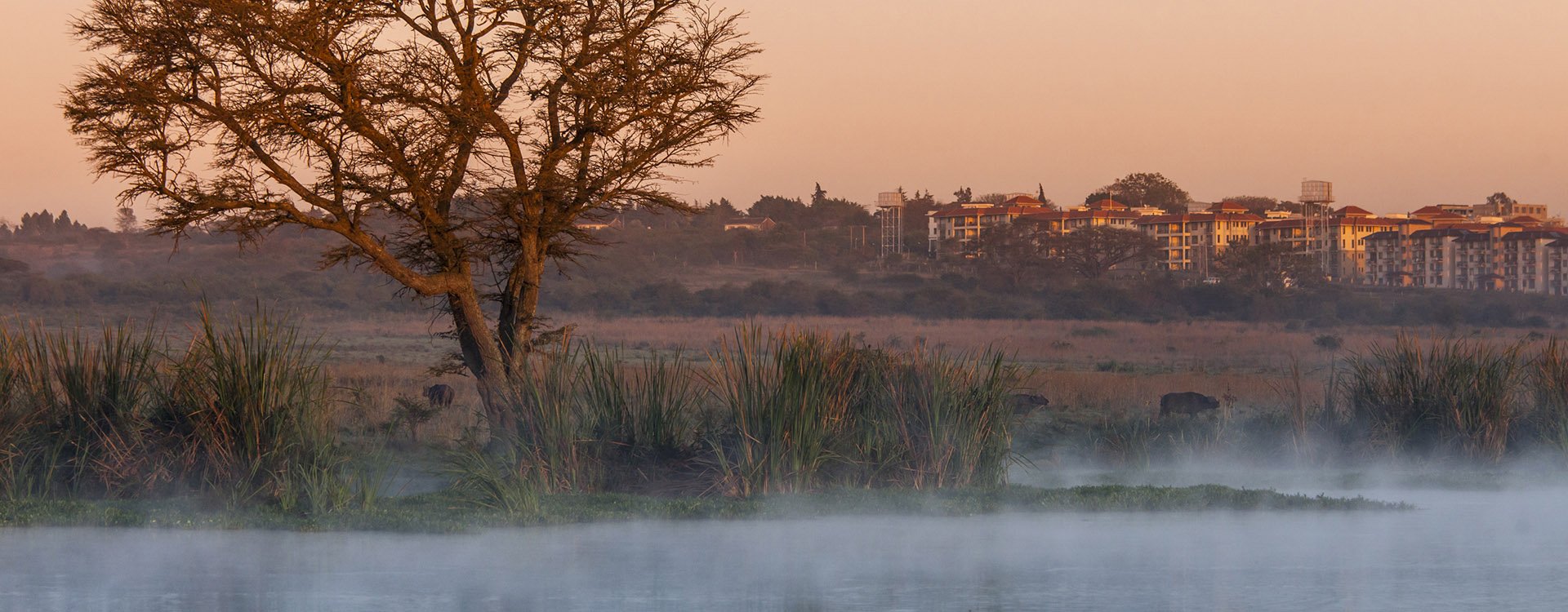 Nairobi Luxury Holidays | Nairobi, Kenya | Lightfoot Travel