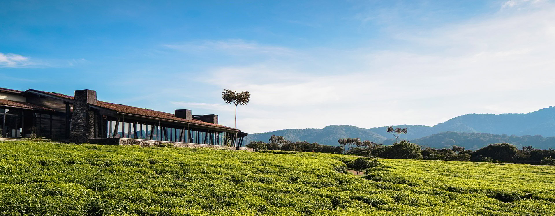 Volcanoes National Park Rwanda | Rwanda Eco & Wildlife Tours ...