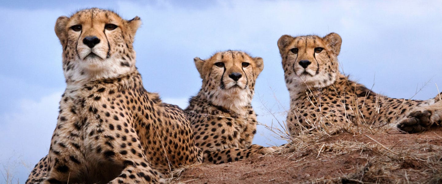 Victoria Macmillan Bell | Lightfoot Travel