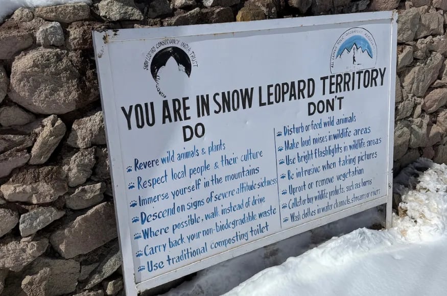 Tracking Snow Leopards in Ladakh | Travel by Lightfoot
